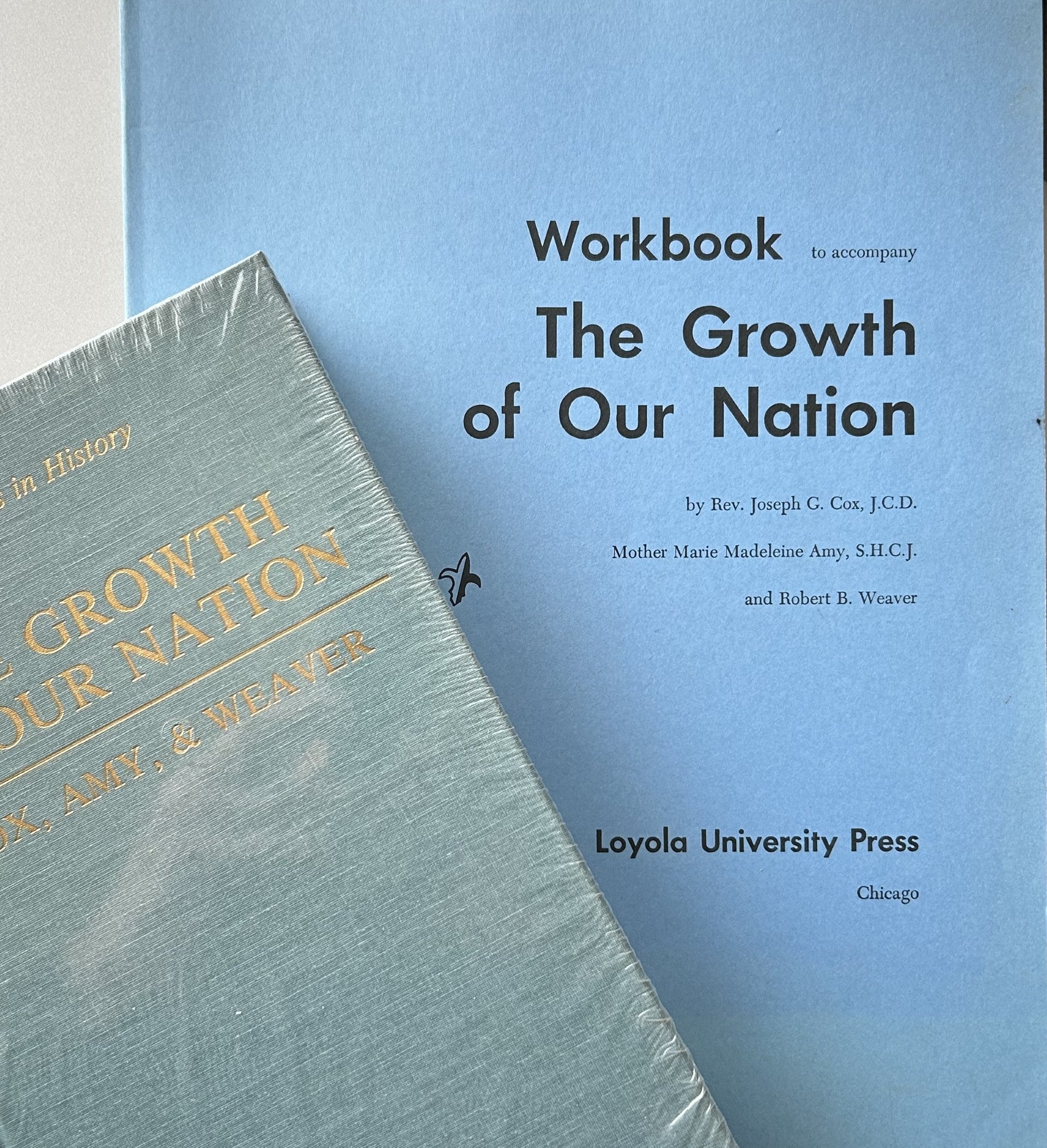 THE GROWTH OF OUR NATION with Workbook -Voyages in History Series ...